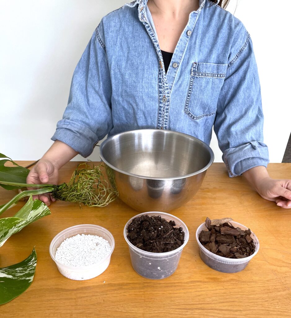 How to: Make a Homemade Houseplant Soil Mix - Leaf and Paw