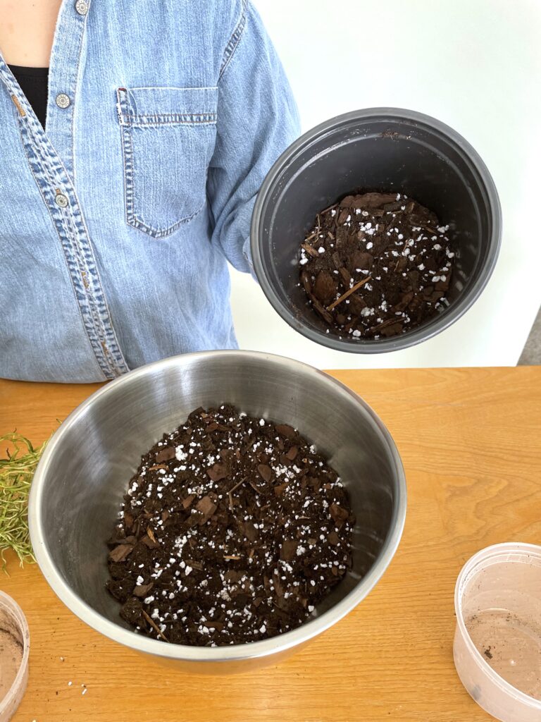 How to: Make a Homemade Houseplant Soil Mix - Leaf and Paw